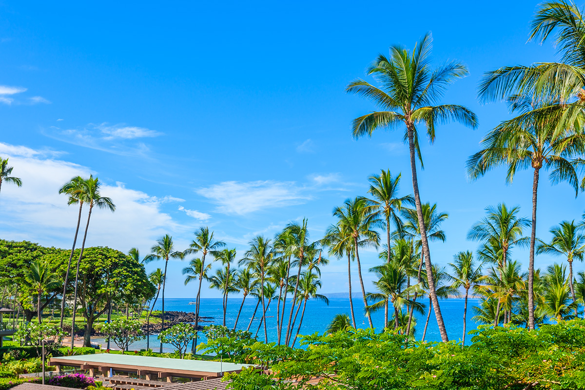 Maui photographs & Hawaiian images from Daniel Boone